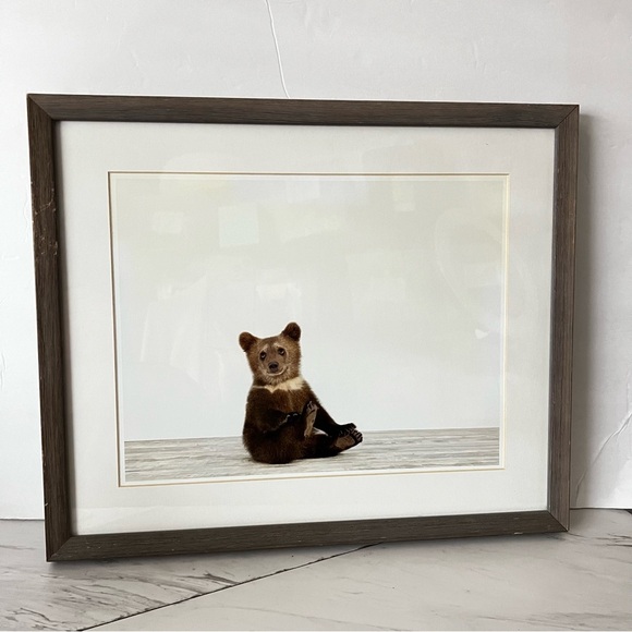Restoration Hardware | Wall Decor | Restoration Hardware Baby Animal ...